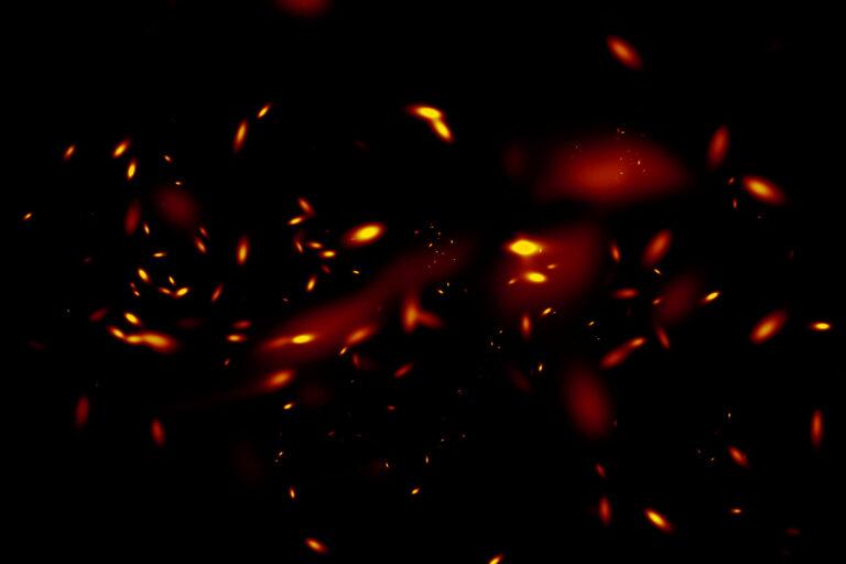 About fire protection systems and services - Firefly